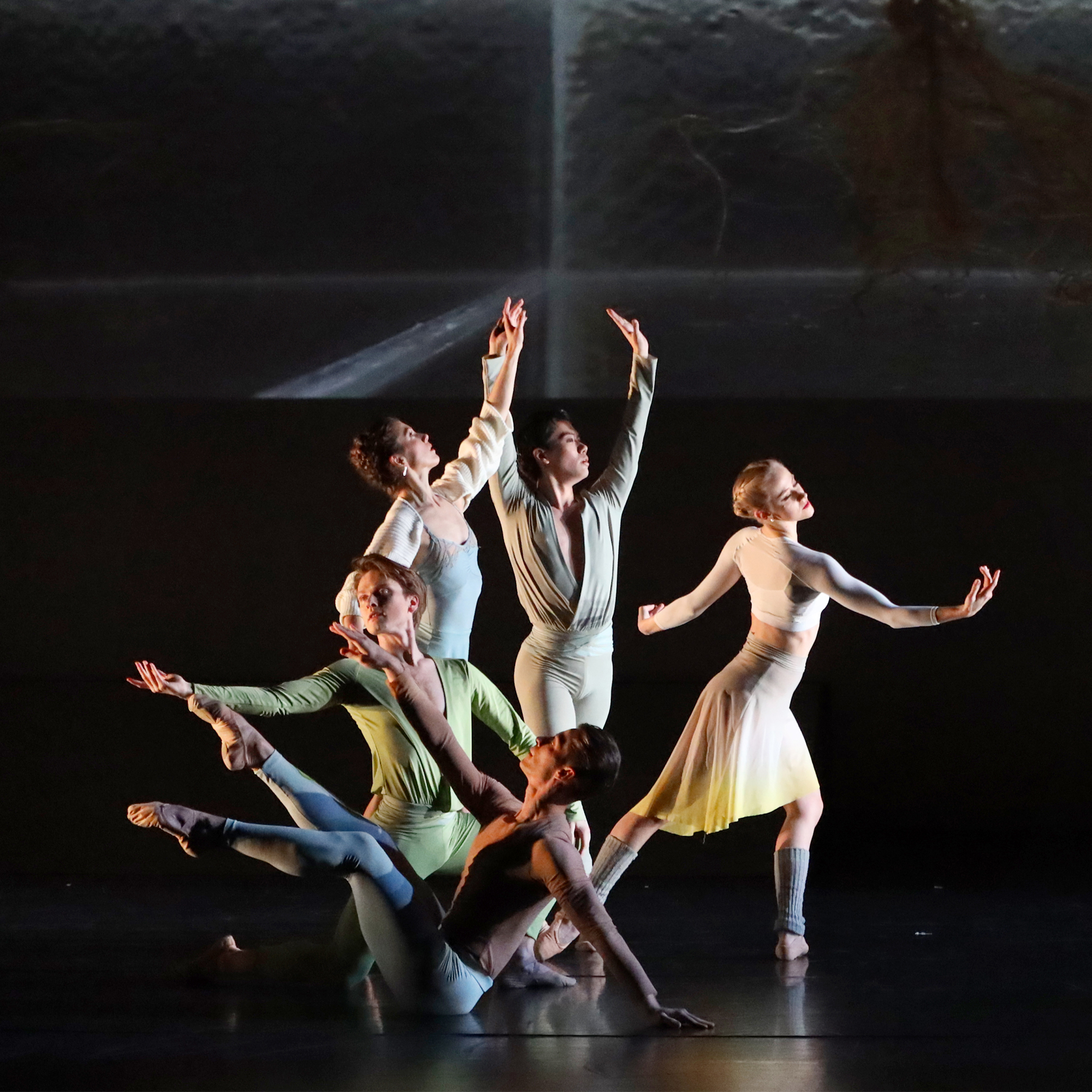 Planned Giving Old - Sarasota Ballet