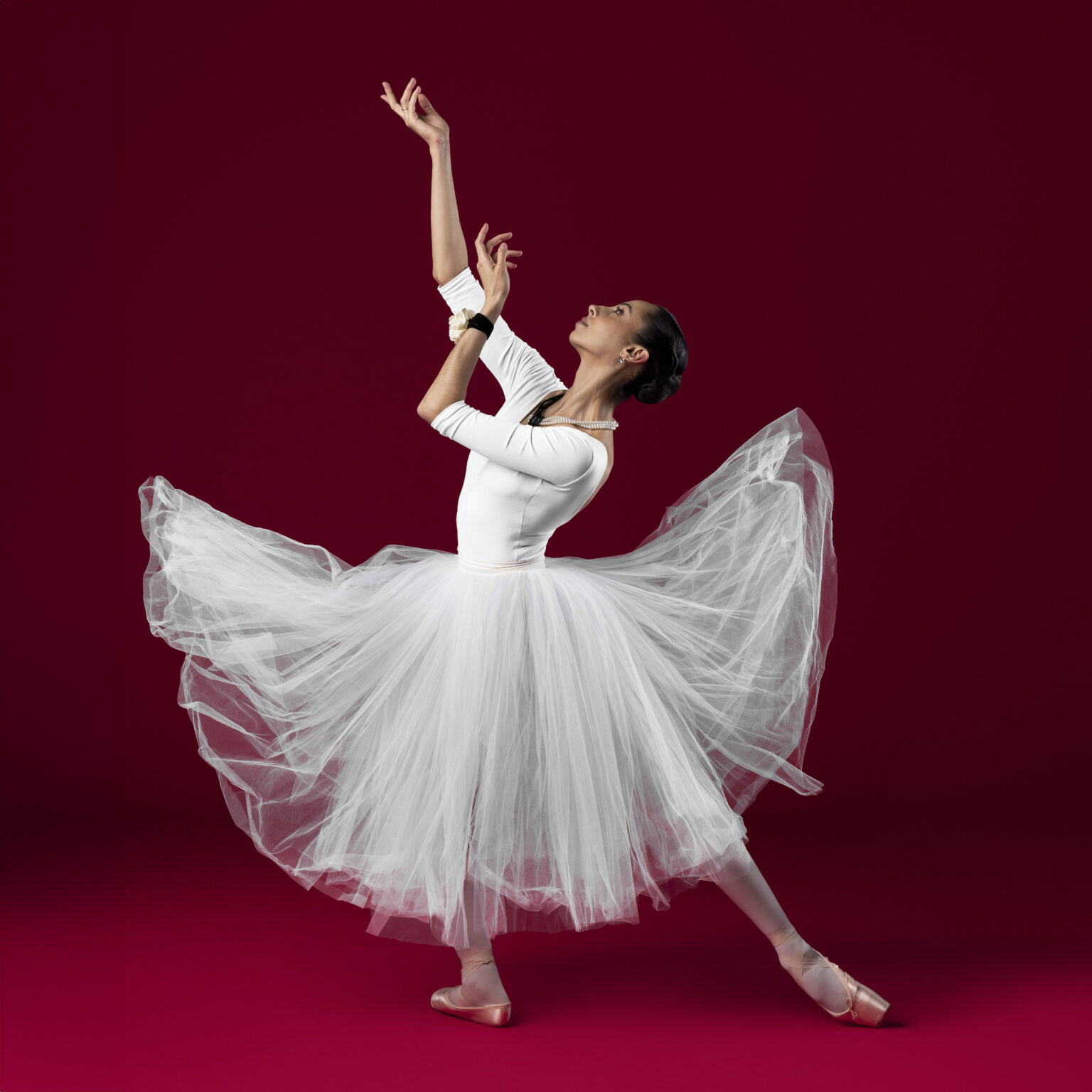 The Company - Sarasota Ballet