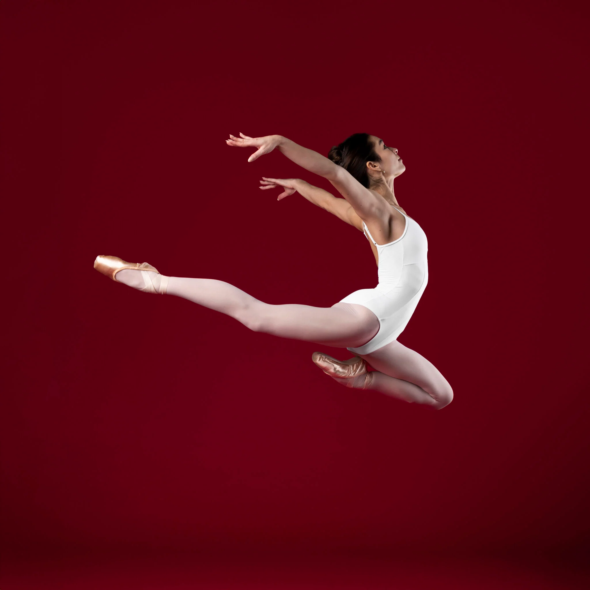 The Season - The Sarasota Ballet - Sarasota Ballet