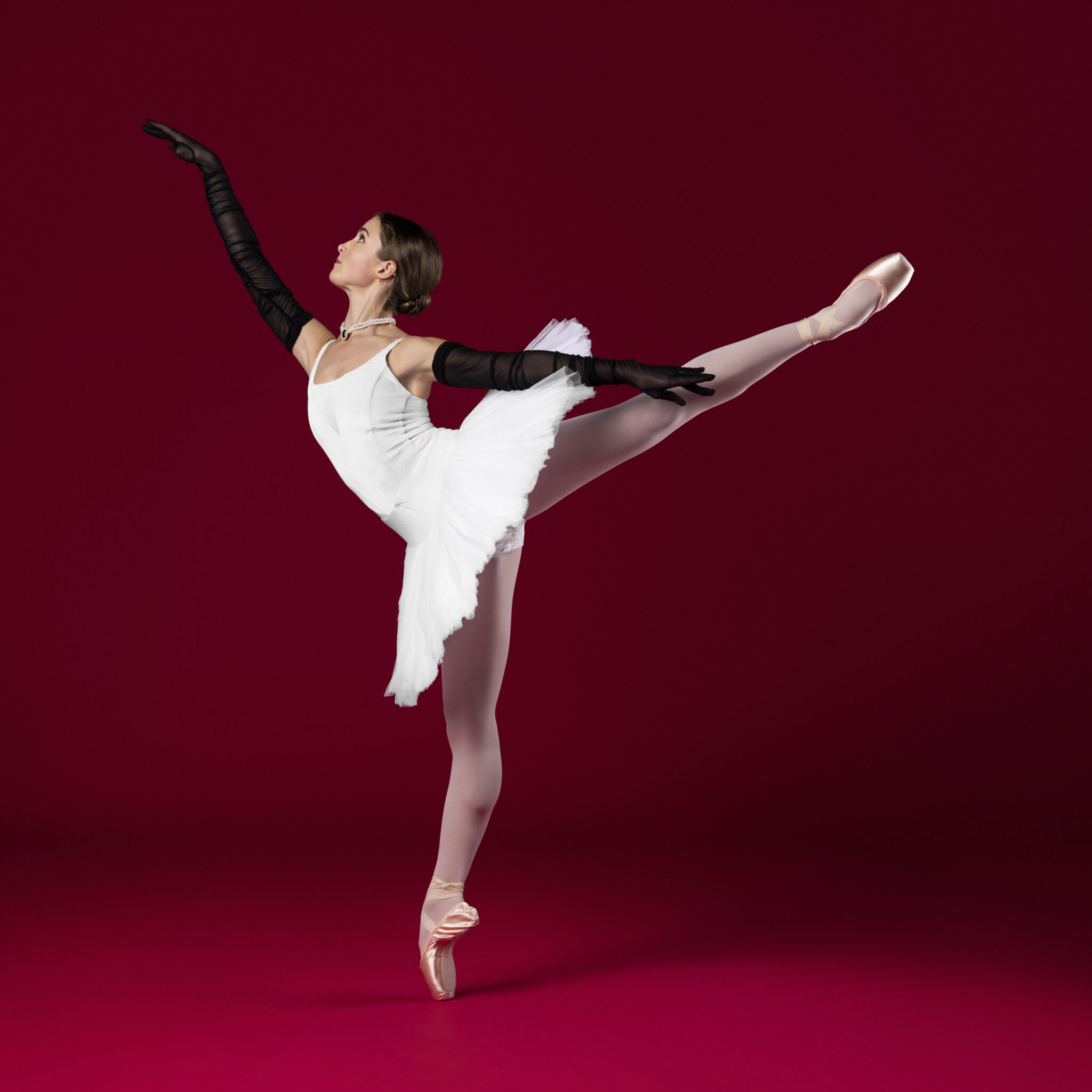 The Company - Sarasota Ballet