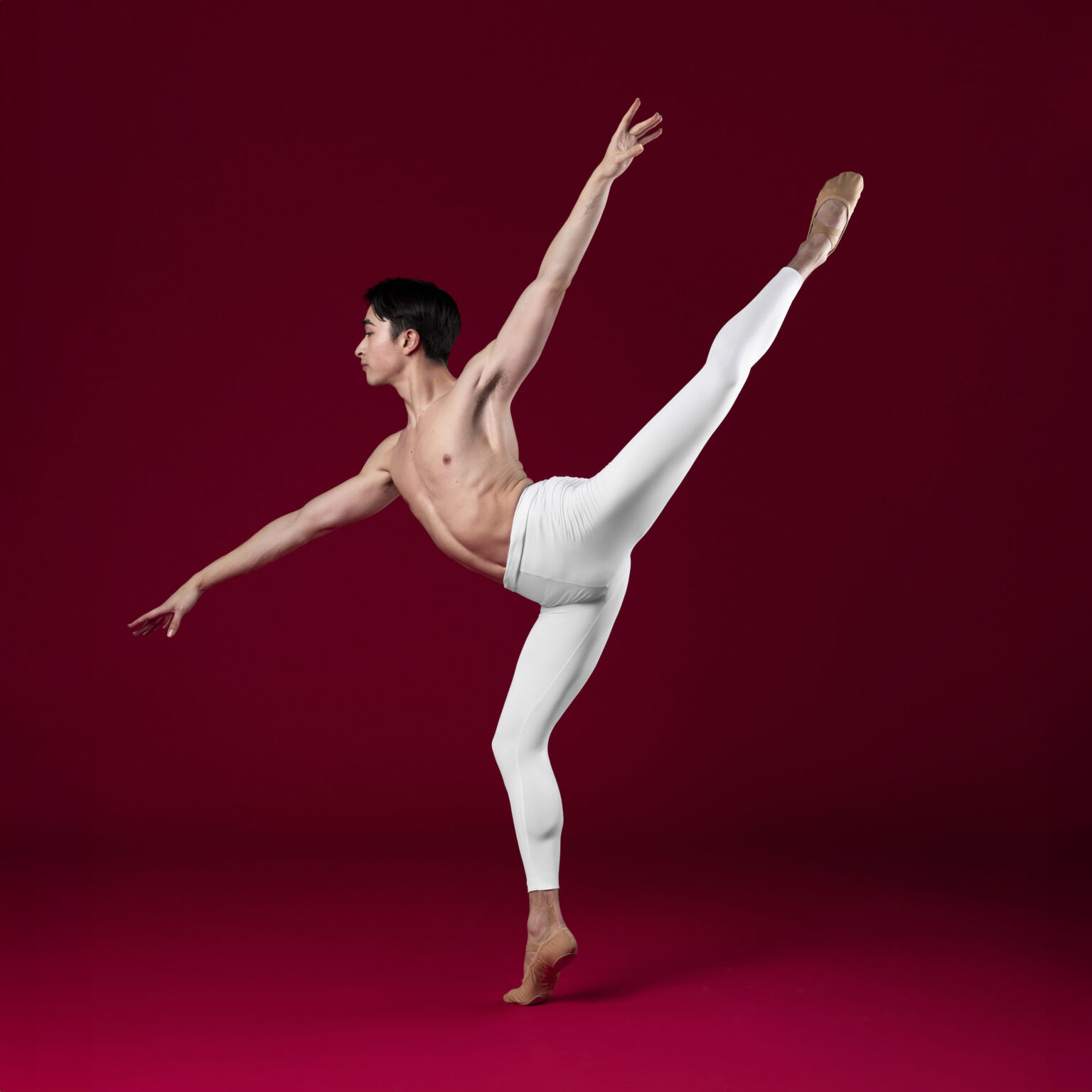 The Season - The Sarasota Ballet - Sarasota Ballet