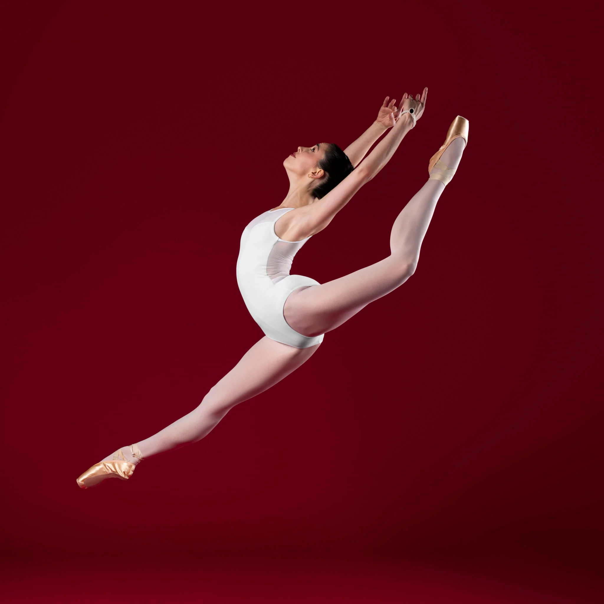 The Season - The Sarasota Ballet - Sarasota Ballet